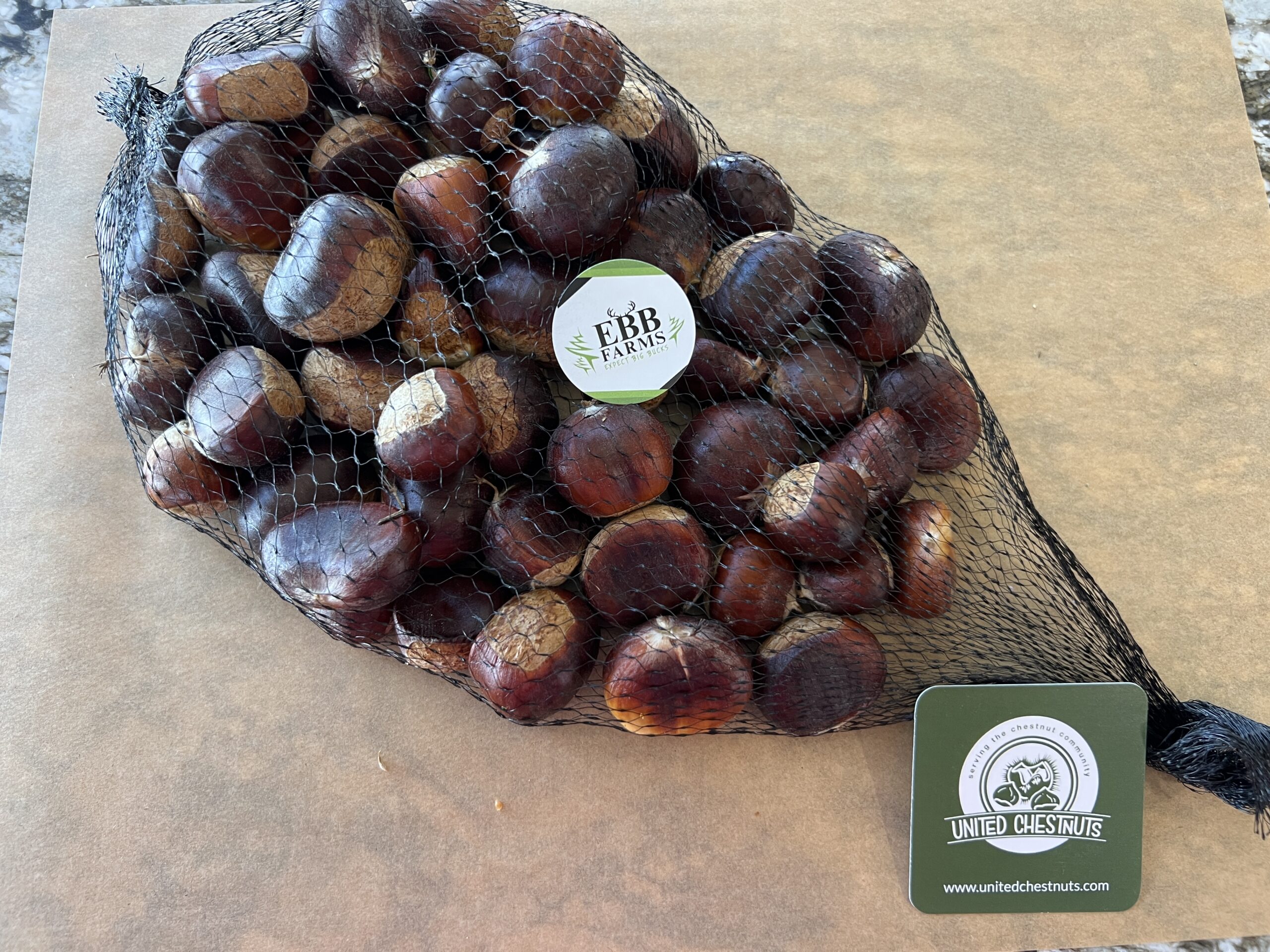 PREORDER 2026 Two Pounds Dunstan Premium Seed Nuts - United Chestnuts