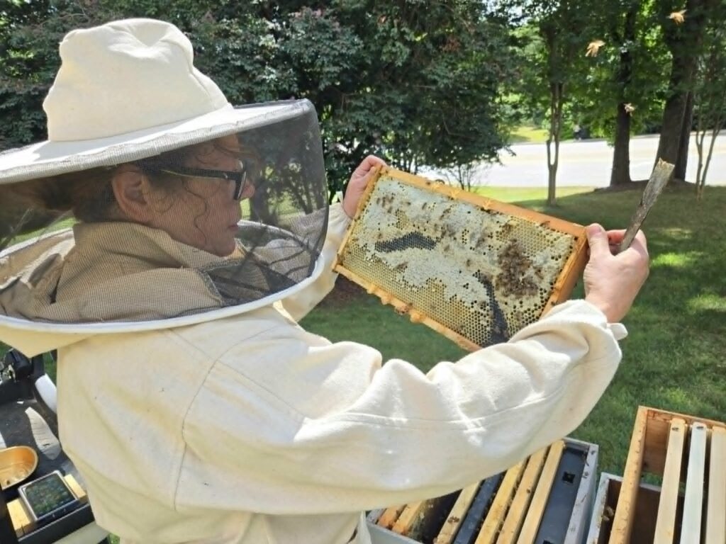 How to Cook With Chestnuts and Create Comfort Food - United Chestnuts