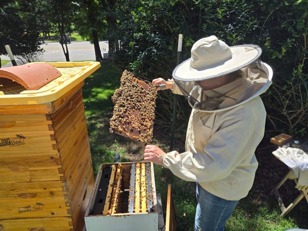 How to Cook With Chestnuts and Create Comfort Food - United Chestnuts